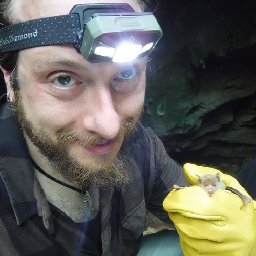 Bat Scientist To Speak At Audubon Oct. 4 | News, Sports, Jobs - Post ...